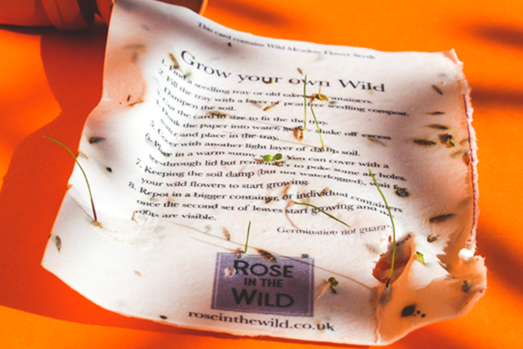 Say hello to our seeded paper… - Hatch