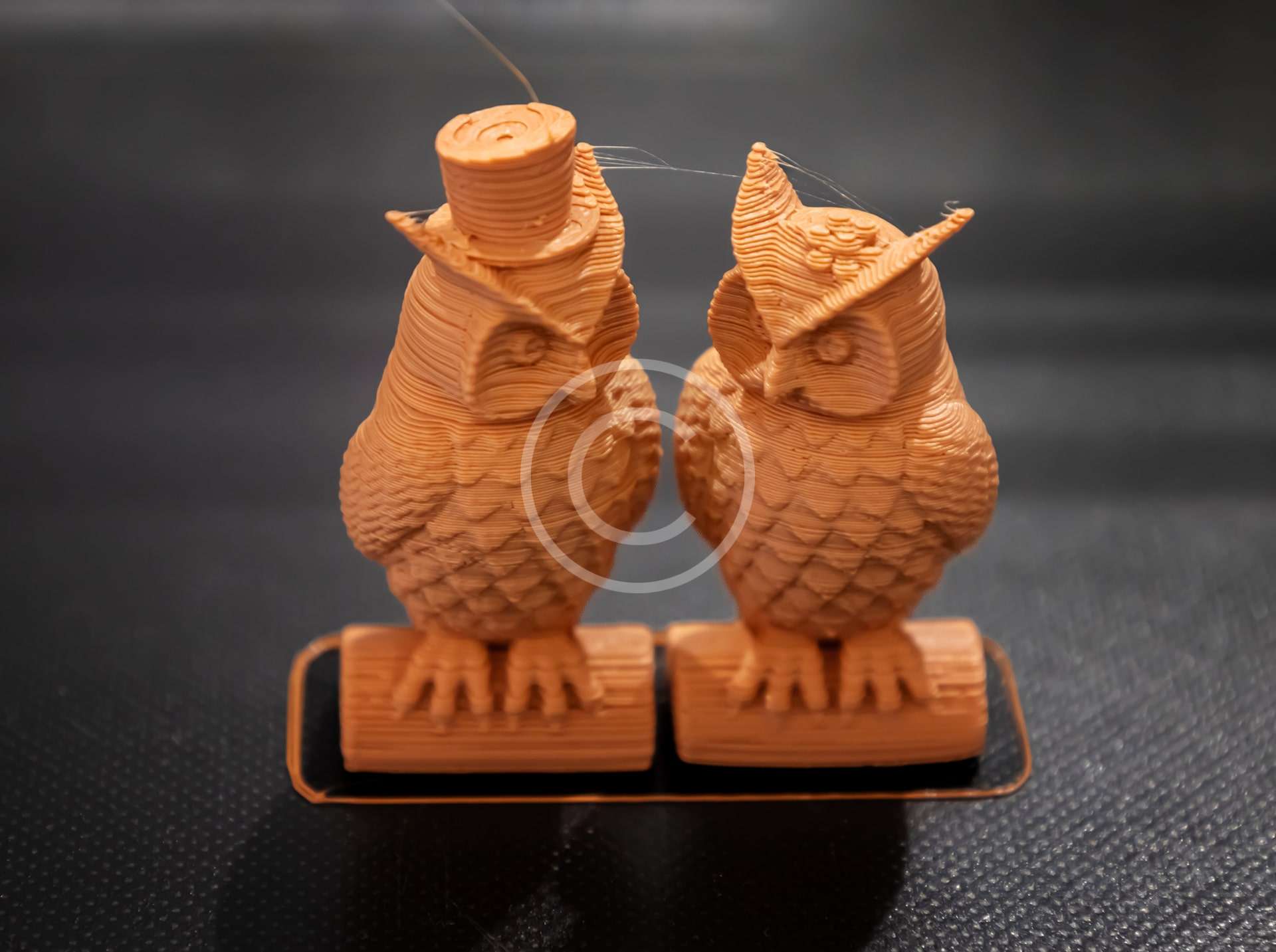 3D printer creates the most amazing items! - Hatch
